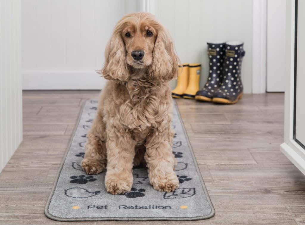 Dog Runner Country Walk Rug | Pet Rebellion