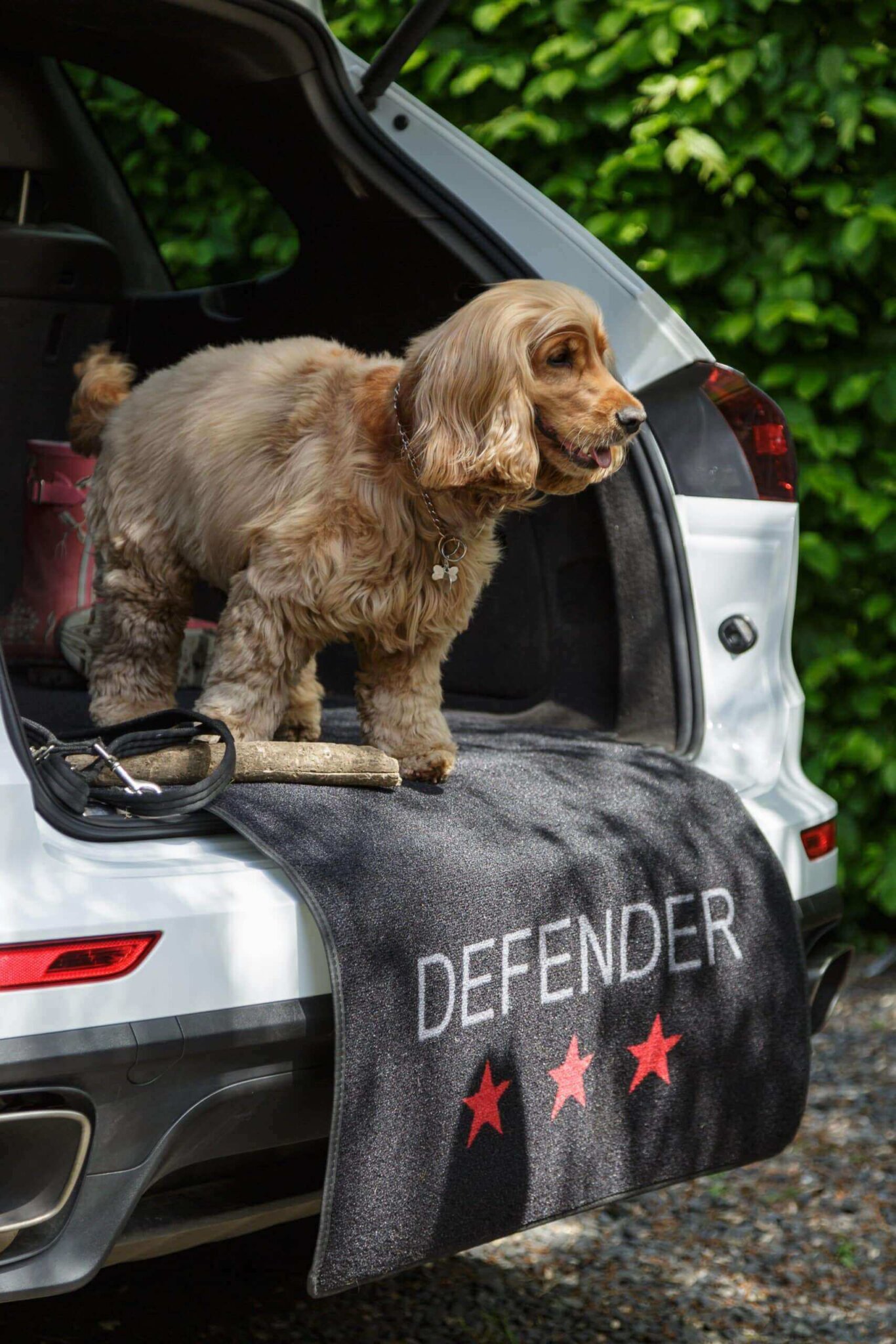 Dog Boot Protector: Car Boot & Bumper Cover | Boot Liner