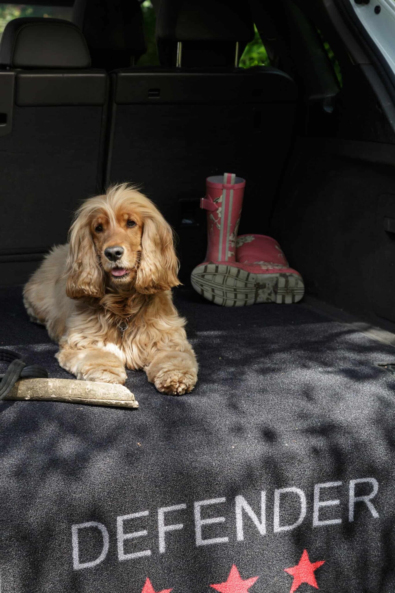Dog Boot Protector: Car Boot & Bumper Cover | Boot Liner