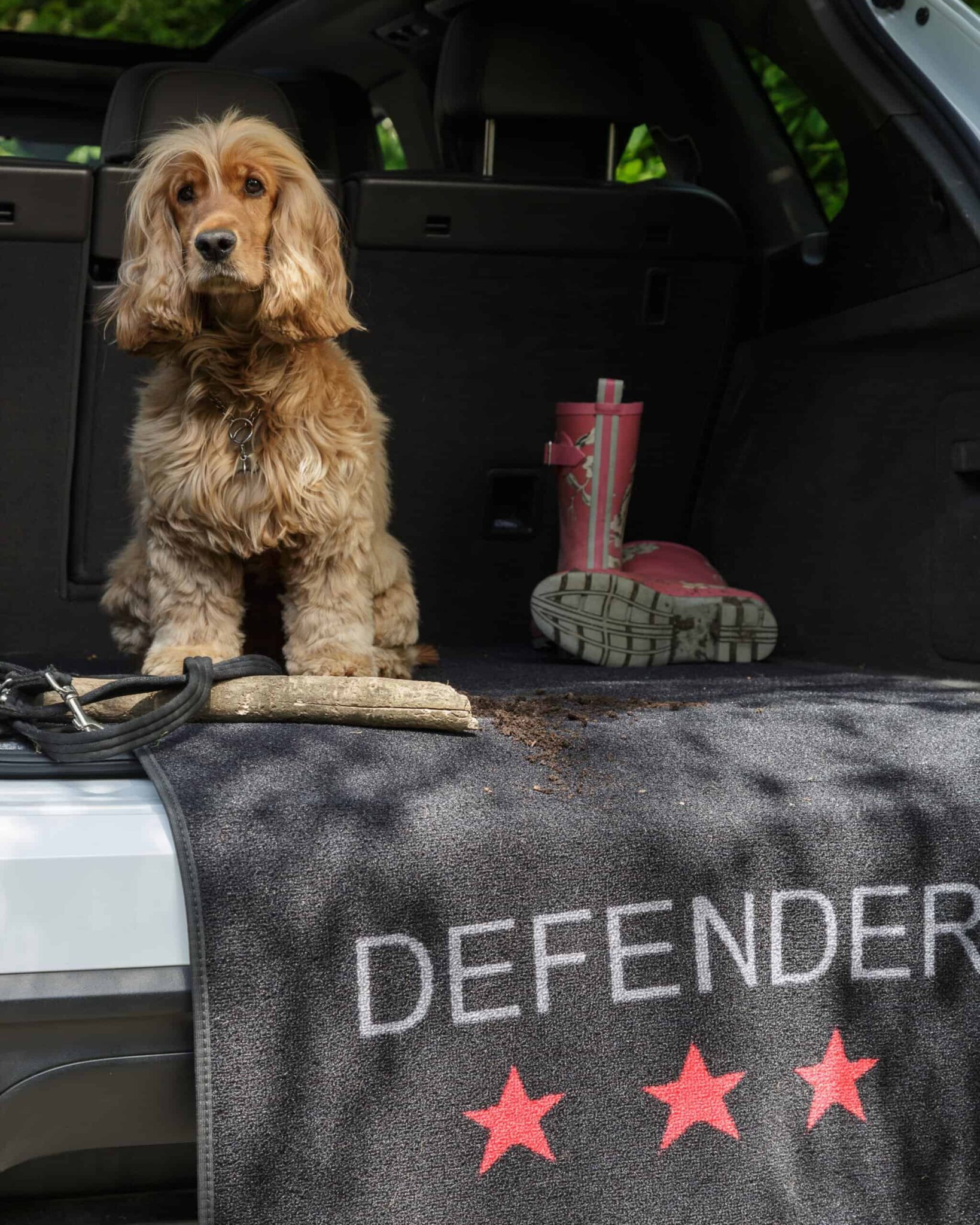 Dog Boot Protector: Car Boot & Bumper Cover | Boot Liner