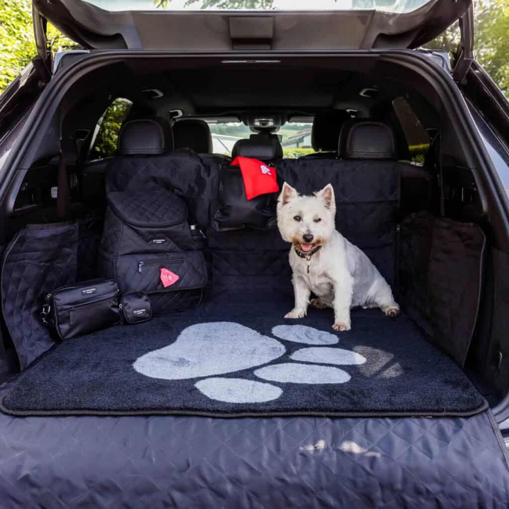 Dog & Pet Car Protection | Pet Rebellion
