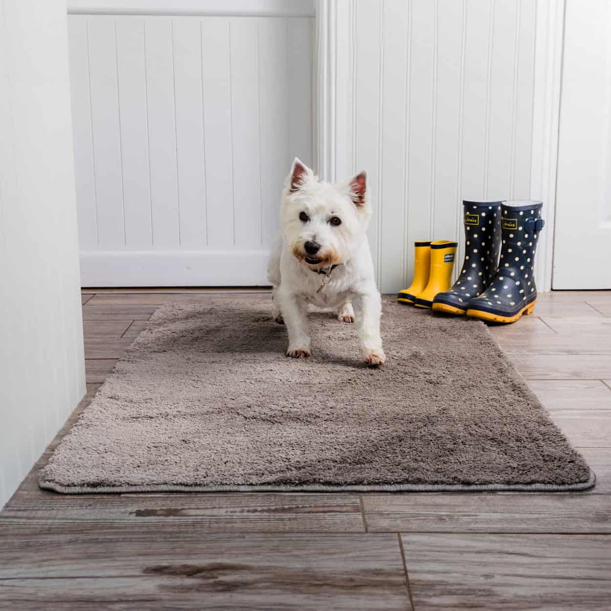 Absorbent dog mat store