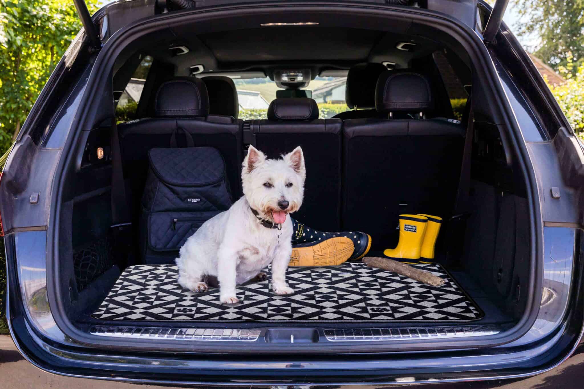 Dog & Pet Car Protection | Pet Rebellion