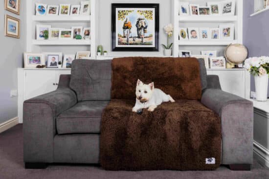 Sofa Protection For Pets & Dogs | Pet Rebellion
