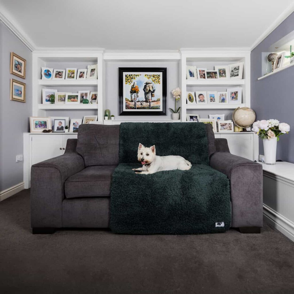 Sofa Protection For Pets & Dogs | Pet Rebellion