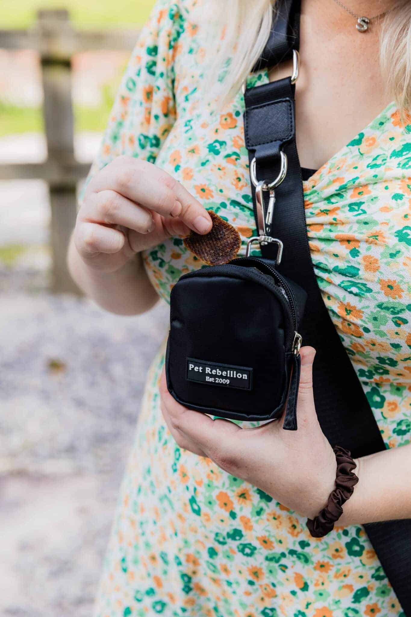 Dog Walking Bag Four Piece Bundle - Black - Pet Rebellion