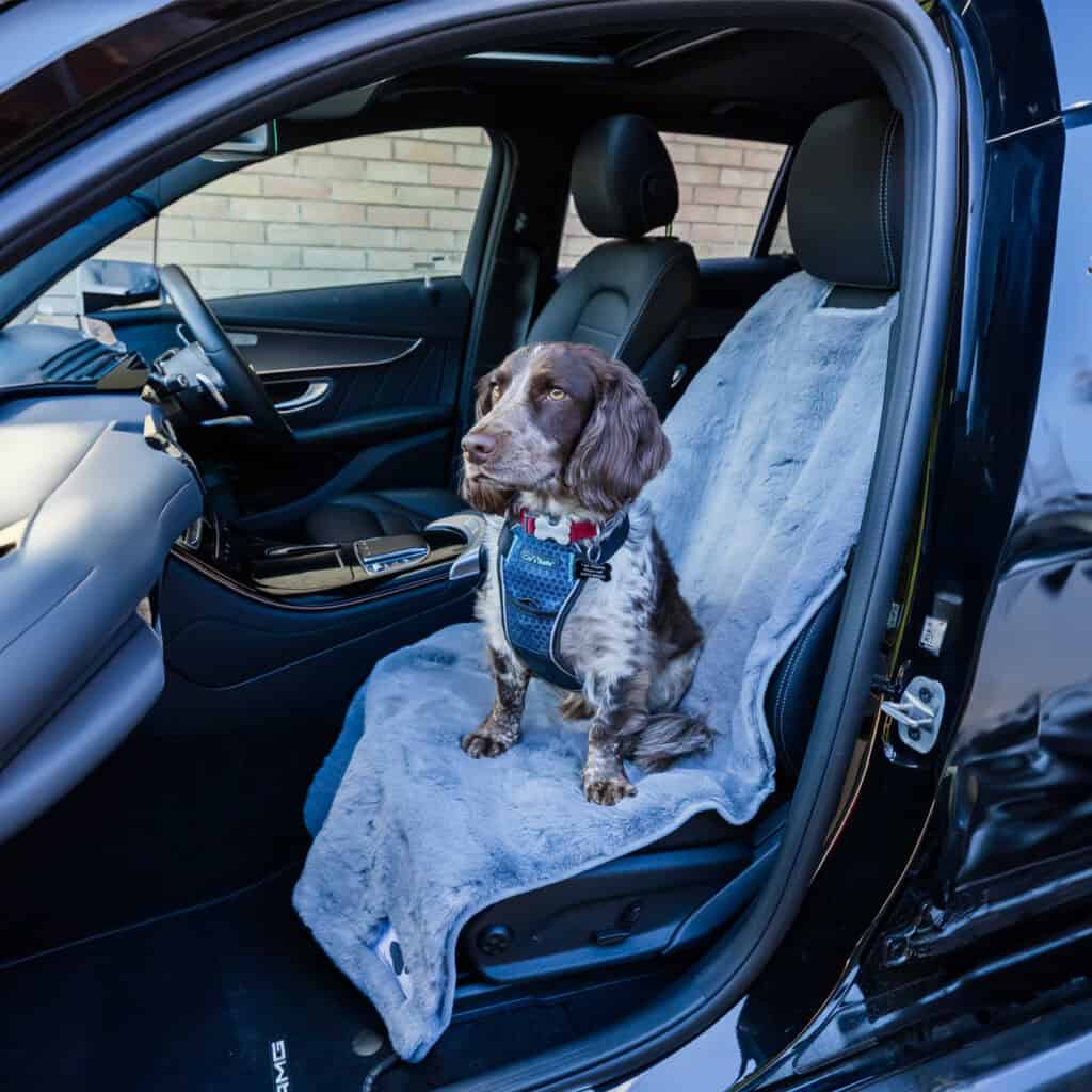 Dog & Pet Car Protection | Pet Rebellion