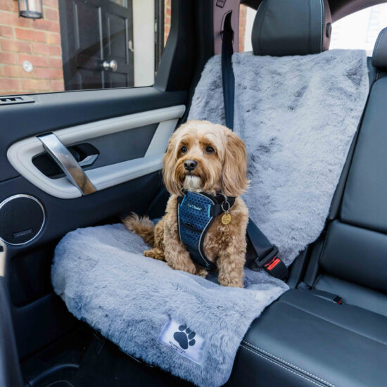 Dog & Pet Car Protection | Pet Rebellion